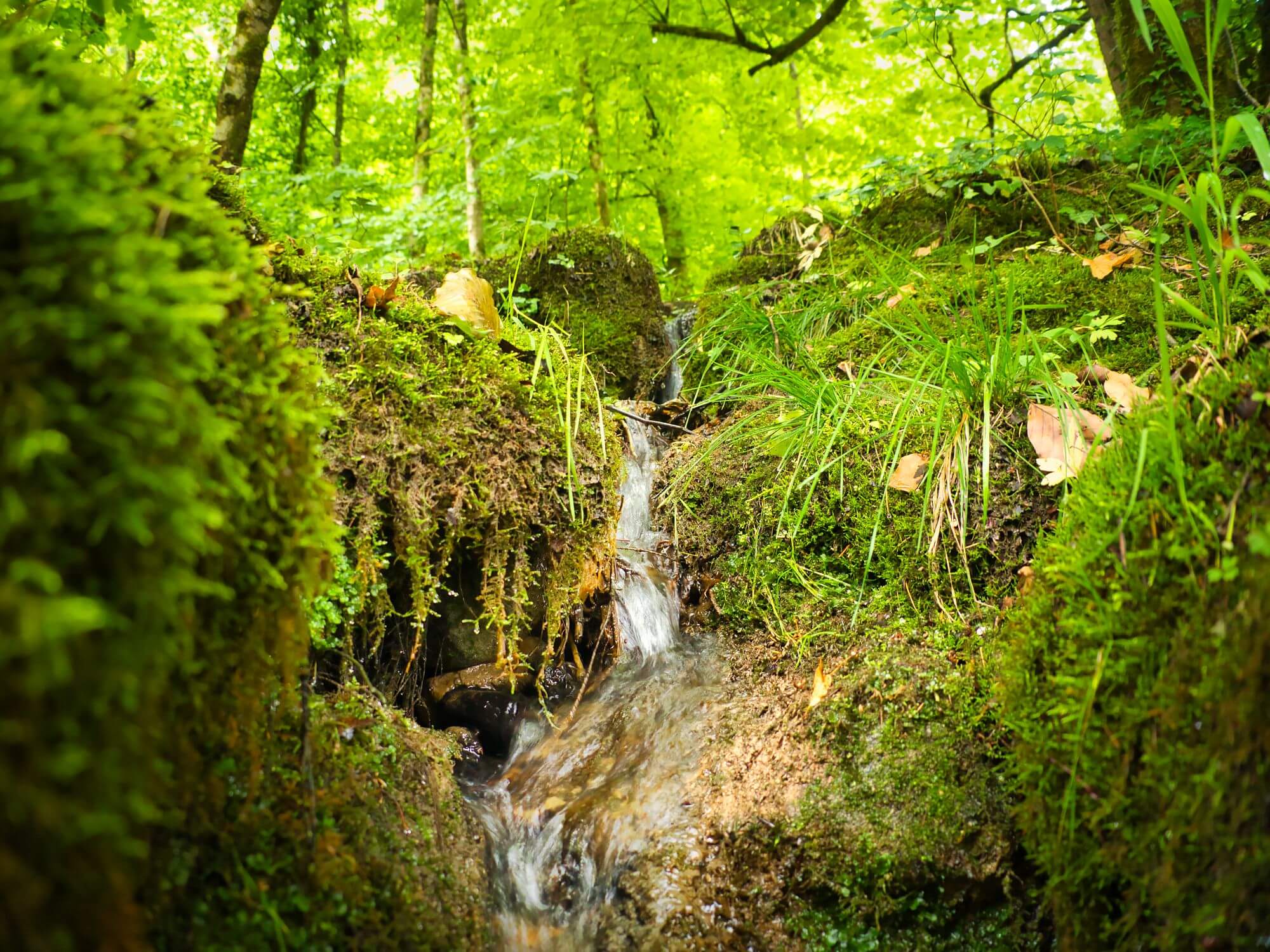 Home - Hausarztpraxis Dr. Hutter & Dr. van Waegeningh